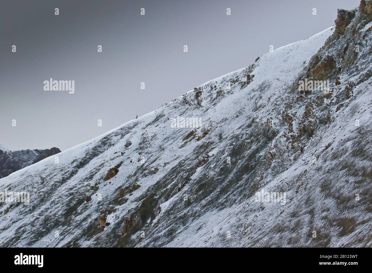 Rumbak valley. Hemis national park. Ladakh, Himalayas. India Stock ...
