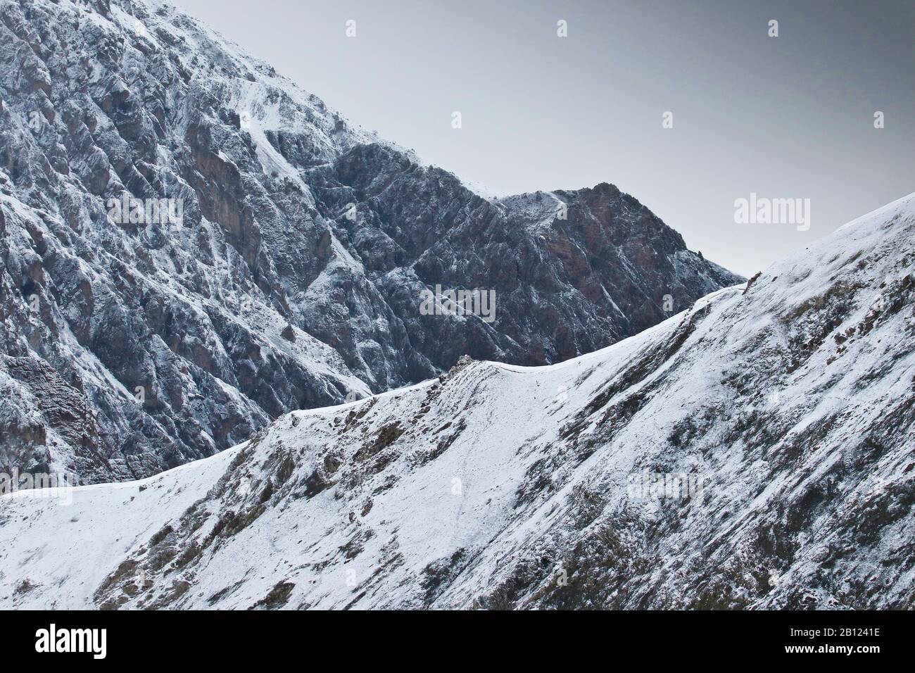 Rumbak valley. Hemis national park. Ladakh, Himalayas. India Stock ...