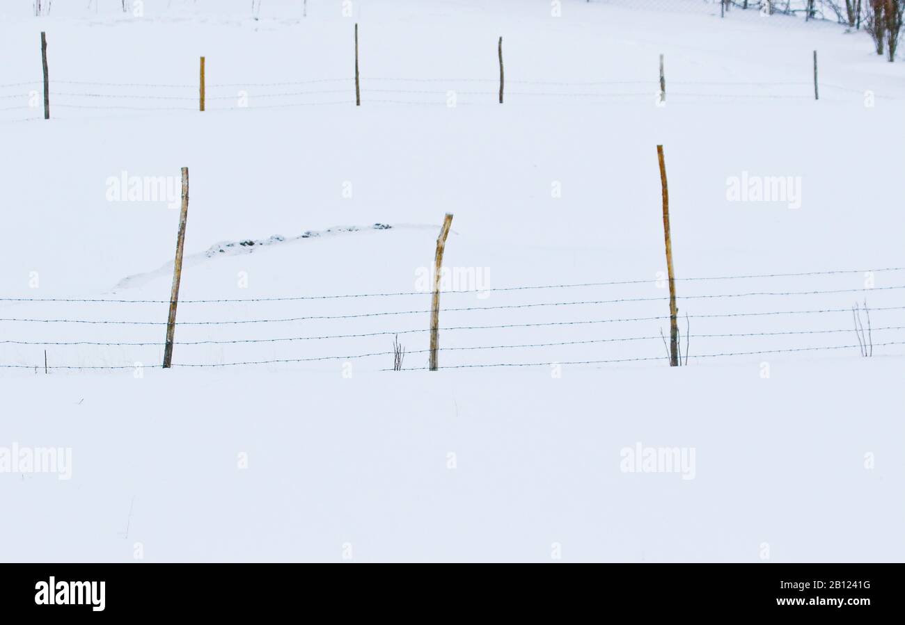 Rumbak valley. Hemis national park. Ladakh, Himalayas. India Stock ...