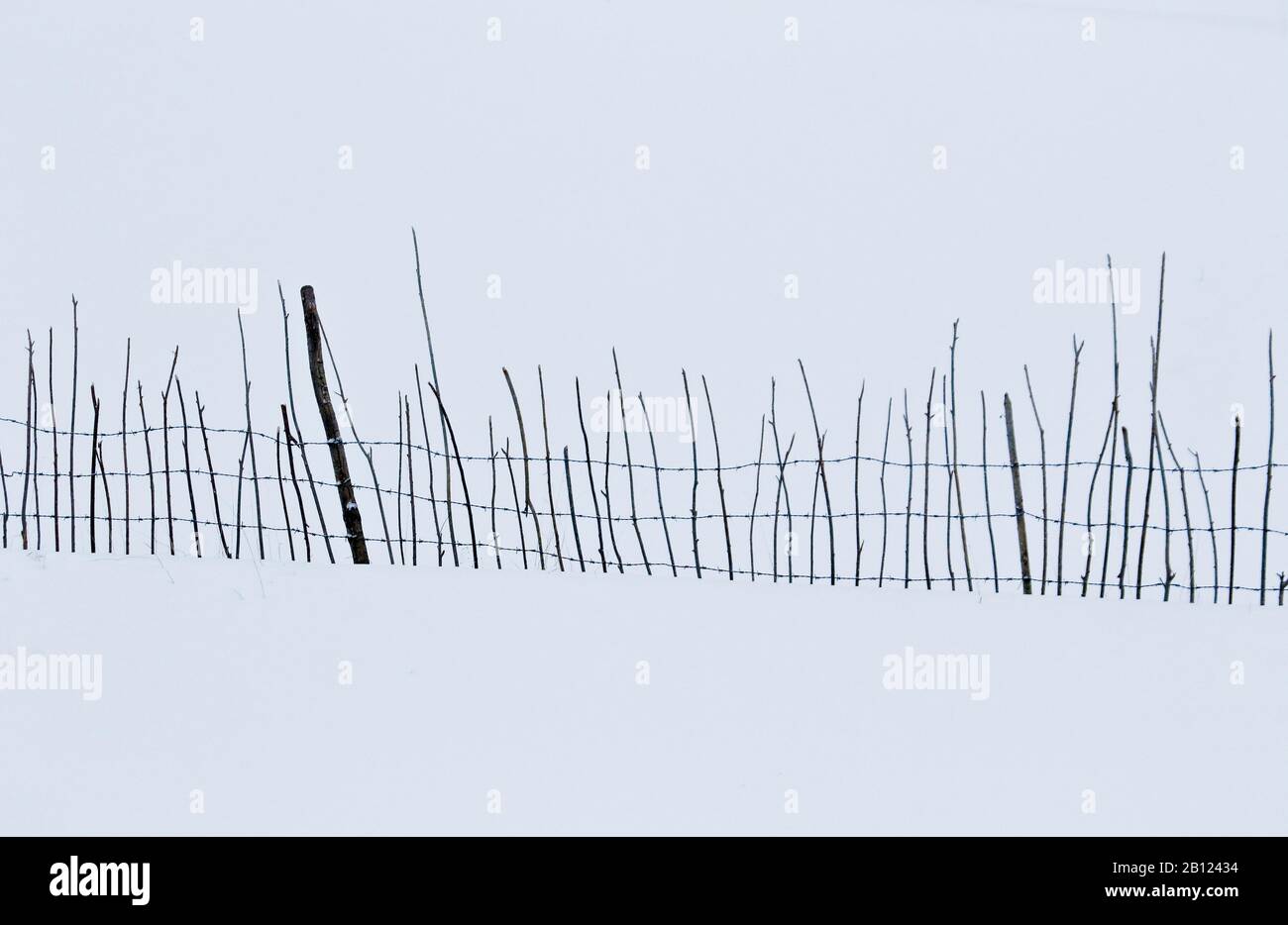 Rumbak valley. Hemis national park. Ladakh, Himalayas. India Stock ...