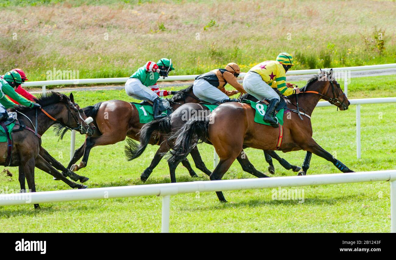 Race horses sprinting on the race track, galloping towards finish line ...