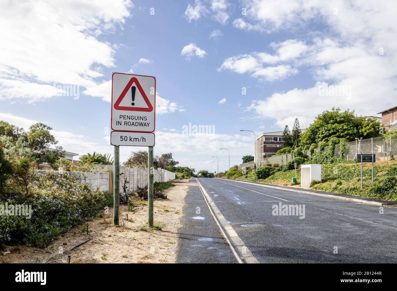 Warning sign, Boulders Beach, Cape Town, Western Cape, South Africa ...
