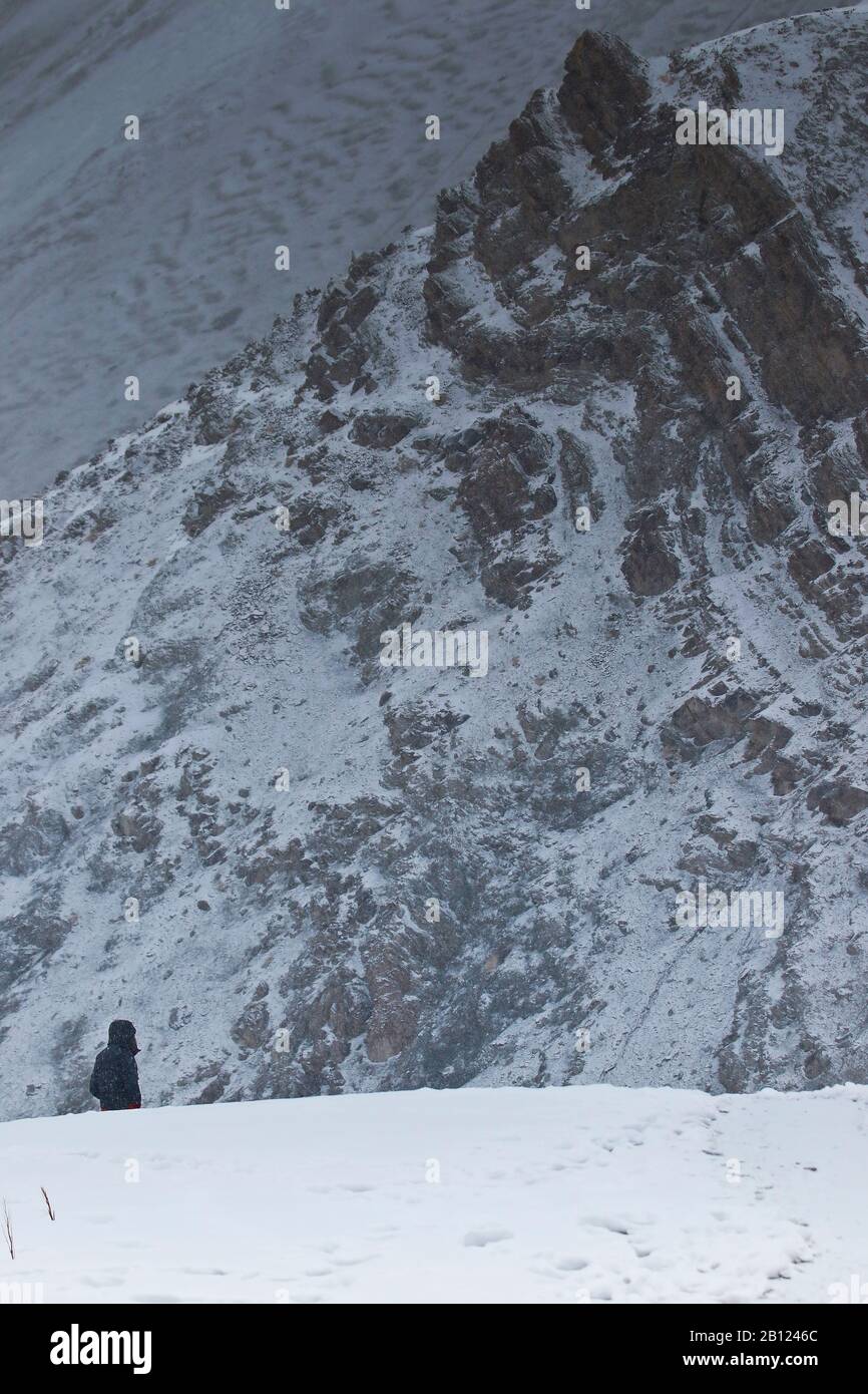 Rumbak valley. Hemis national park. Ladakh, Himalayas. India Stock ...