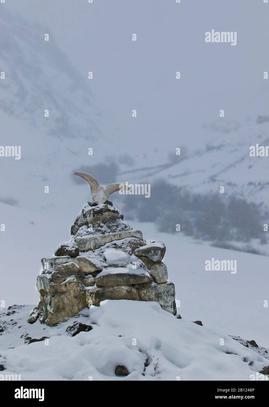 Rumbak valley. Hemis national park. Ladakh, Himalayas. India Stock ...