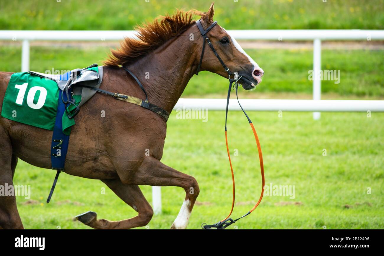 Rider falling off horse hi-res stock photography and images - Alamy