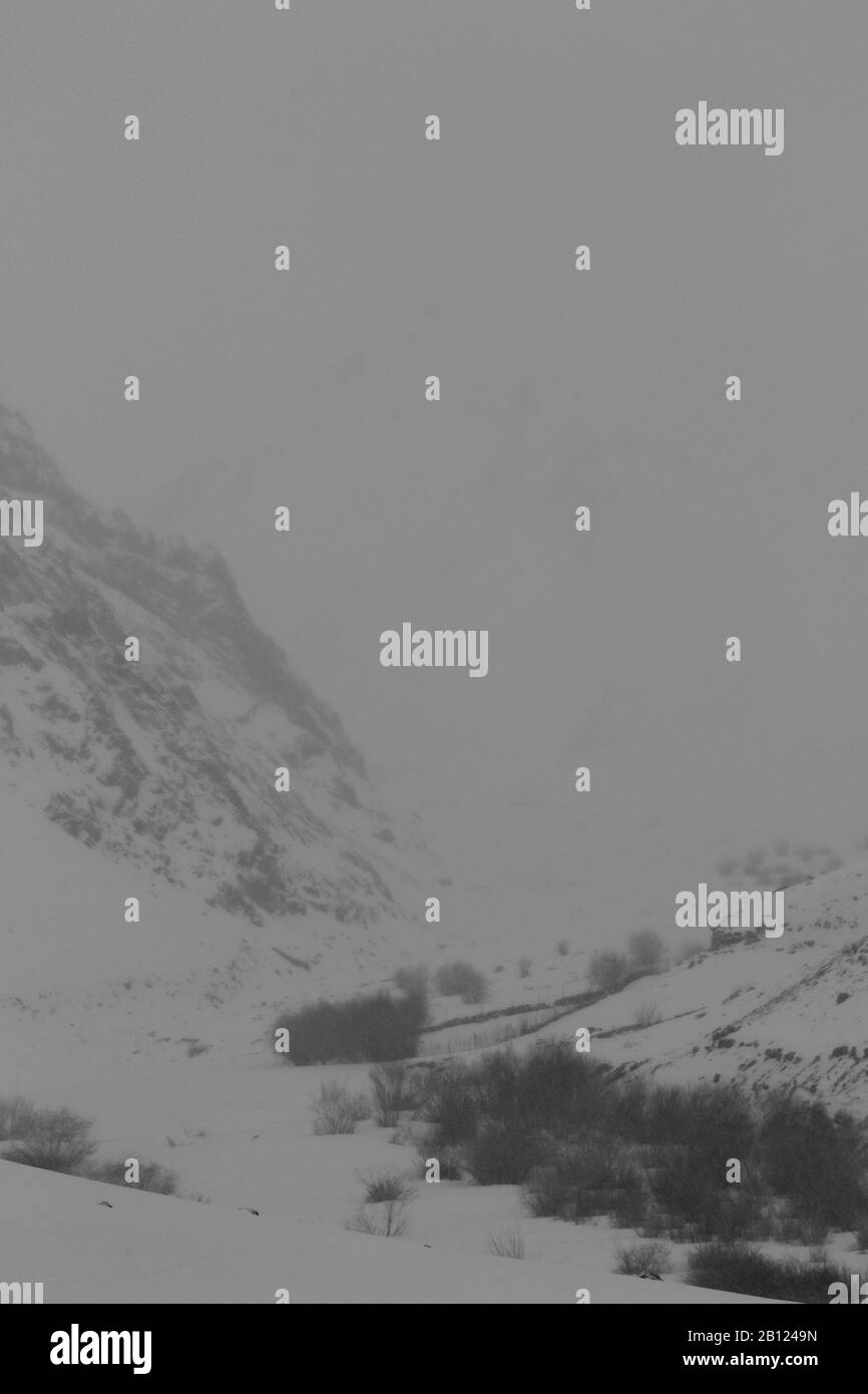 Rumbak valley. Hemis national park. Ladakh, Himalayas. India Stock ...