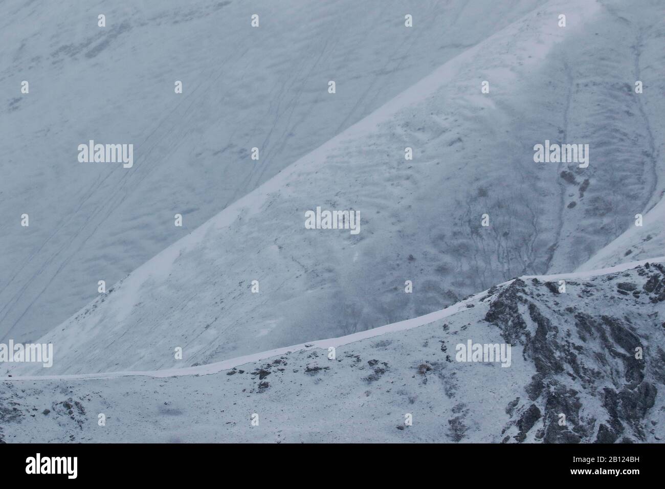Rumbak valley. Hemis national park. Ladakh, Himalayas. India Stock ...