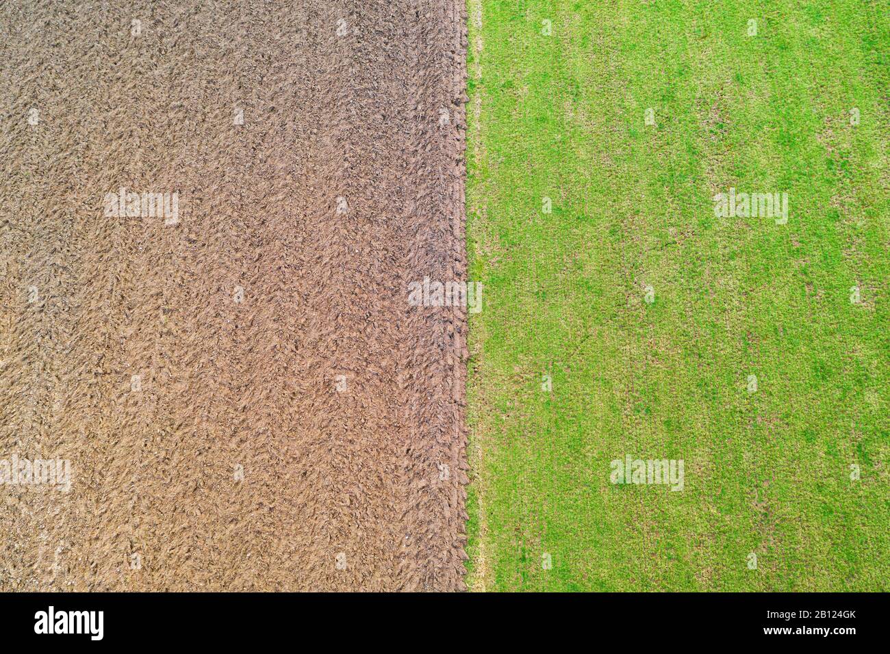 a meadow and a field from above background Stock Photo - Alamy