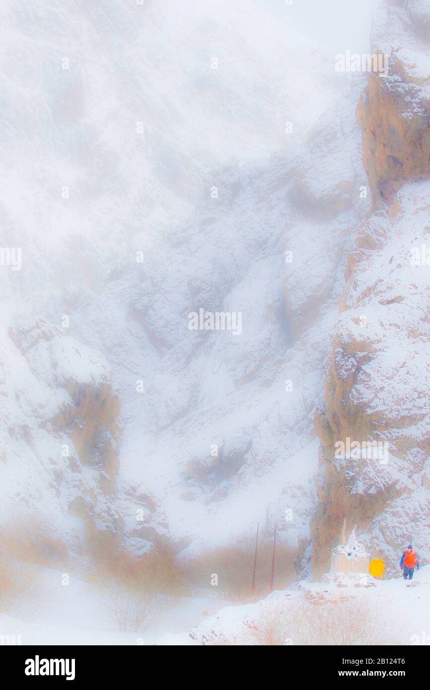 Rumbak valley. Hemis national park. Ladakh, Himalayas. India Stock ...