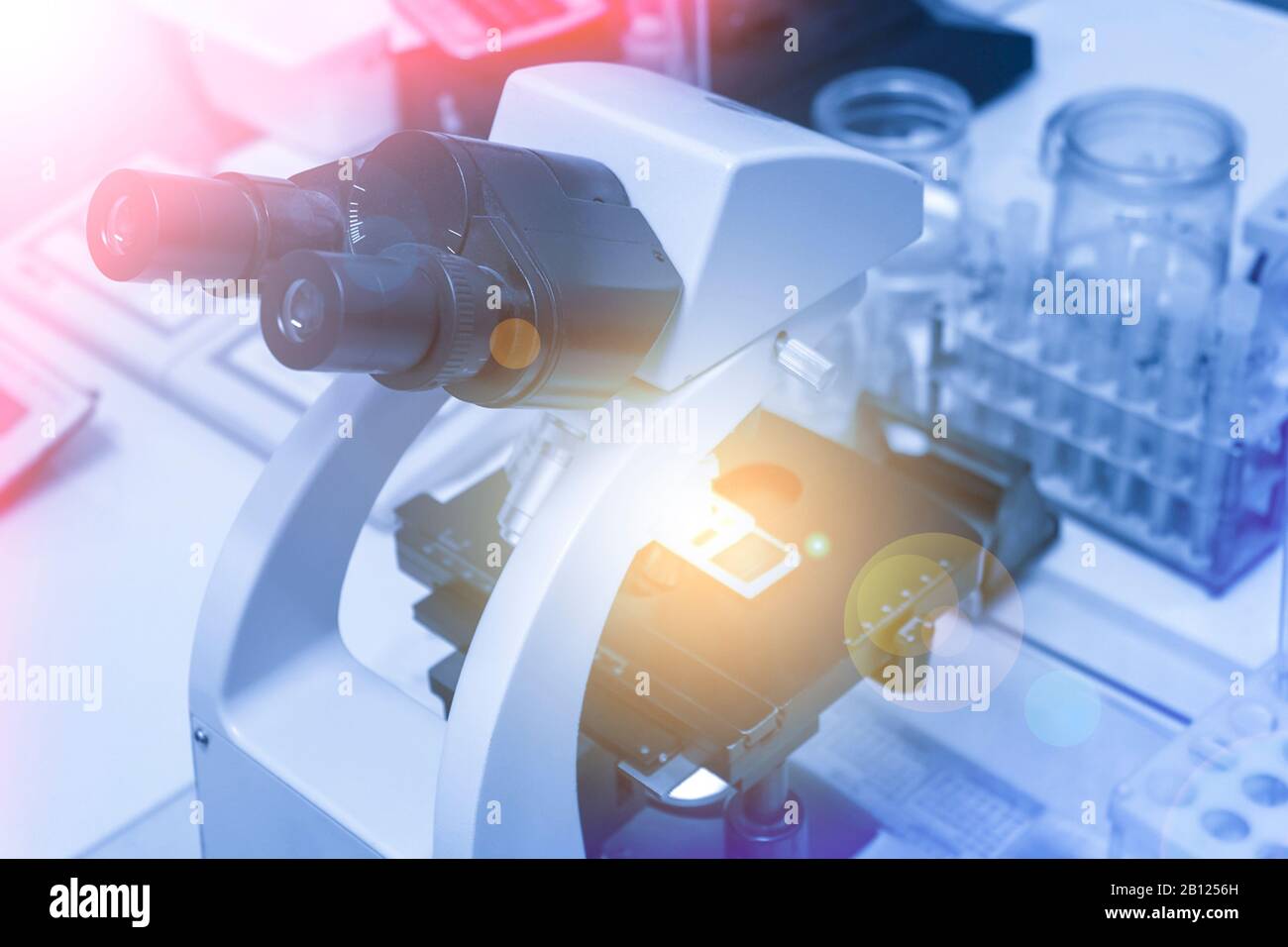 Bacteria under microscope hi-res stock photography and images - Alamy