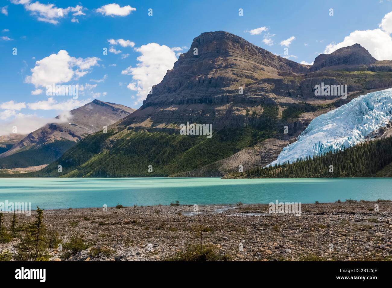 Berg Lake below Mount Robson in Mount Robson Provincial Park, British ...