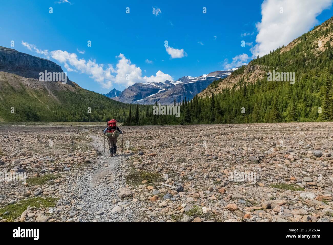 Hiking along Robson River below Berg Lake in Mount Robson Provincial ...