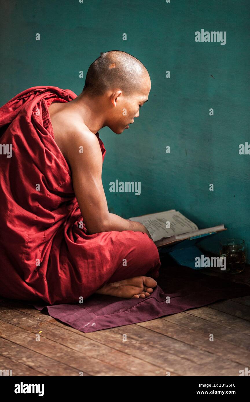 Monk studying hi-res stock photography and images - Alamy
