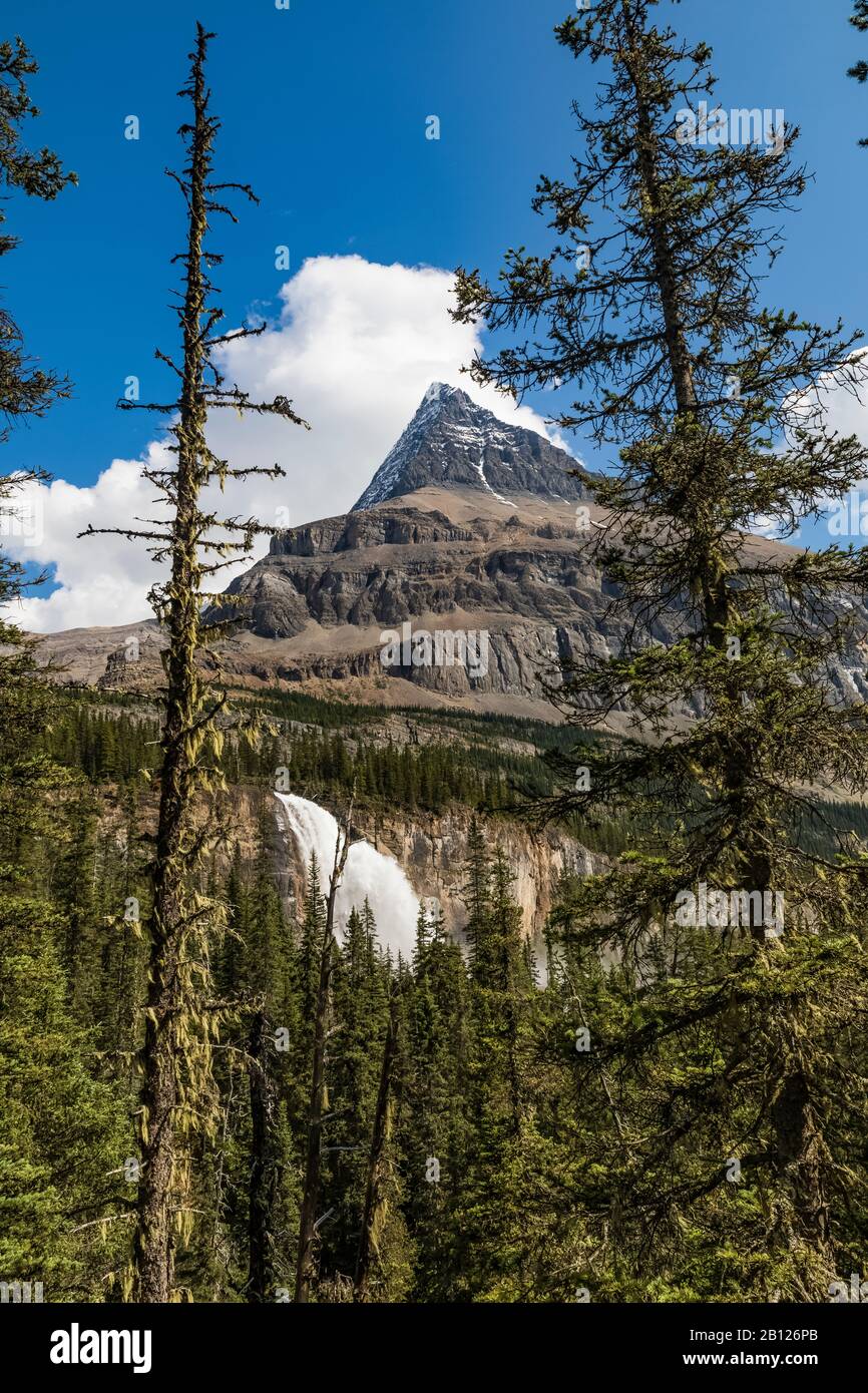 Emperor Falls along the Robson River with Mount Robson in the distance ...