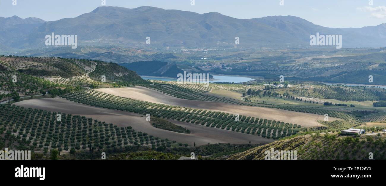 Andalucia and countryside hi-res stock photography and images - Alamy
