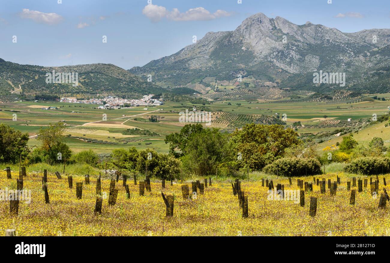 Andalucia and countryside hi-res stock photography and images - Alamy