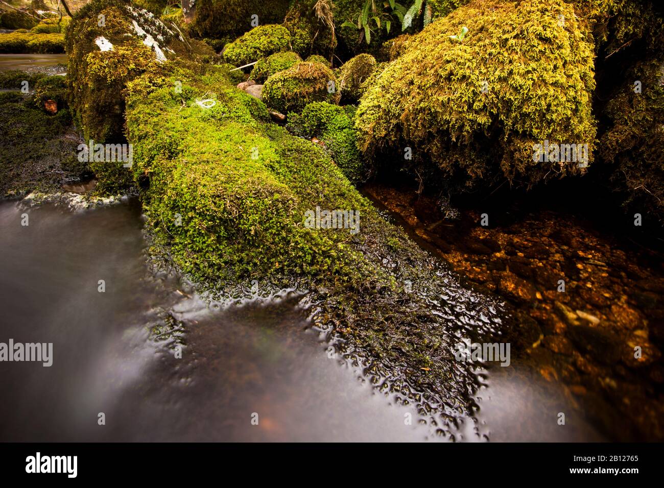 O Brook stream. Dartmoor, England Stock Photo - Alamy