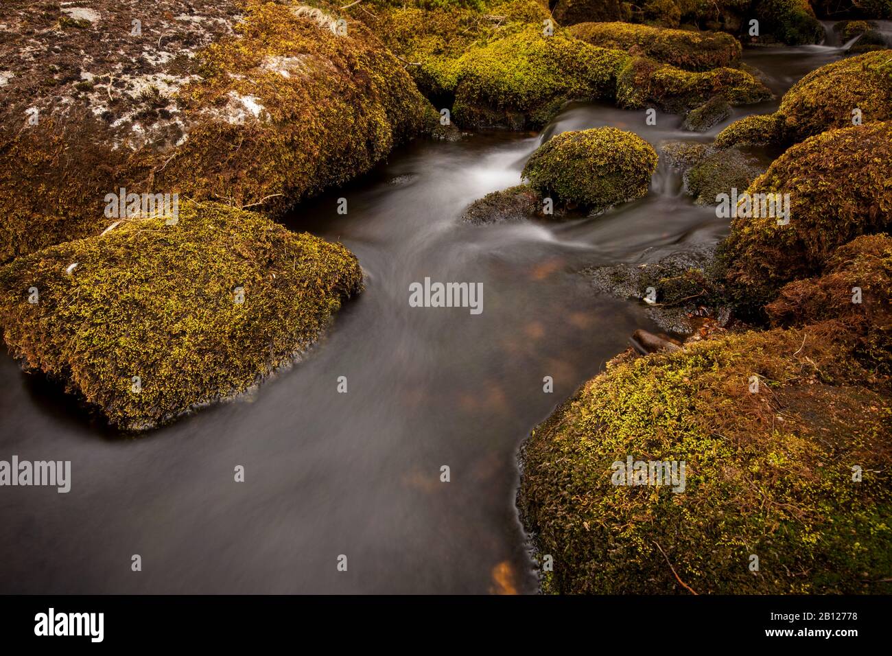 O brook dartmoor hi-res stock photography and images - Alamy