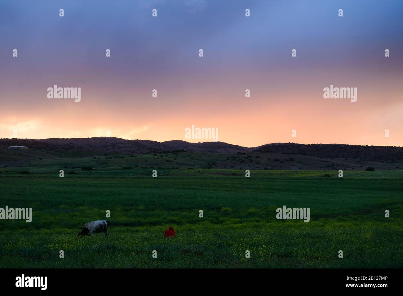 Middle atlas morocco hi-res stock photography and images - Alamy