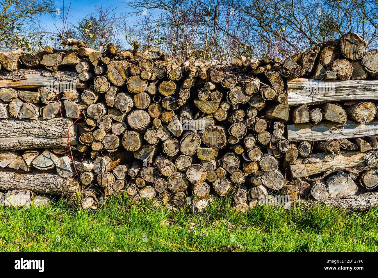 Stack of oak logs drying for domestic heating fuel - Indre-et-Loire ...
