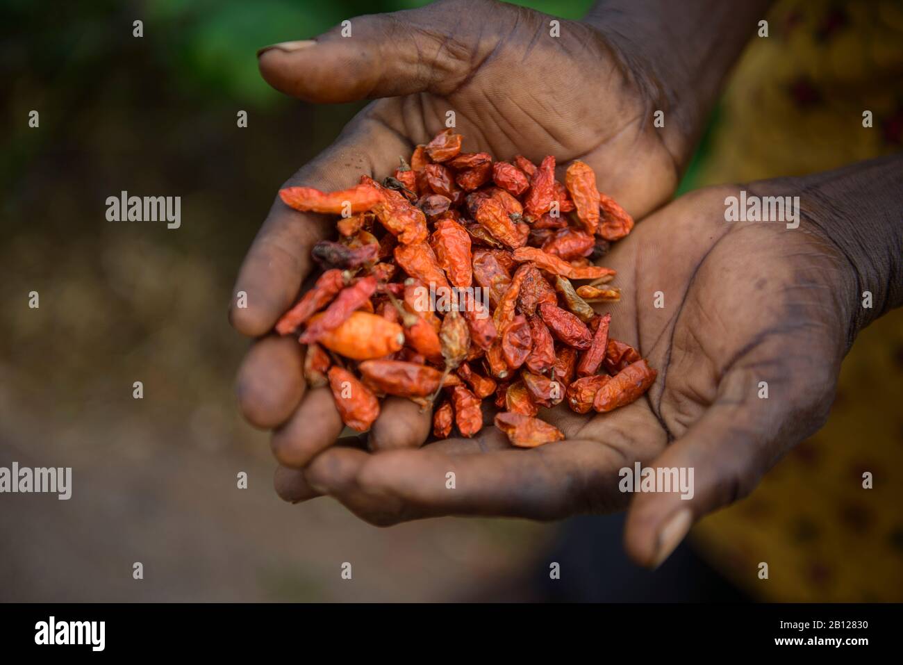 Nigerian descent hi-res stock photography and images - Alamy