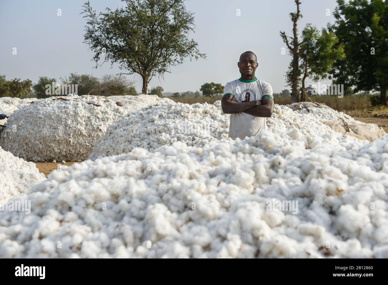 Cotton flock hi-res stock photography and images - Alamy