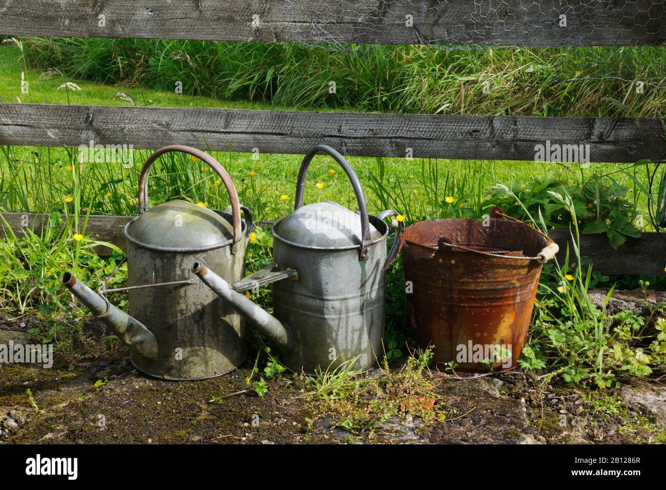 Ash Vintage Tin Cans
