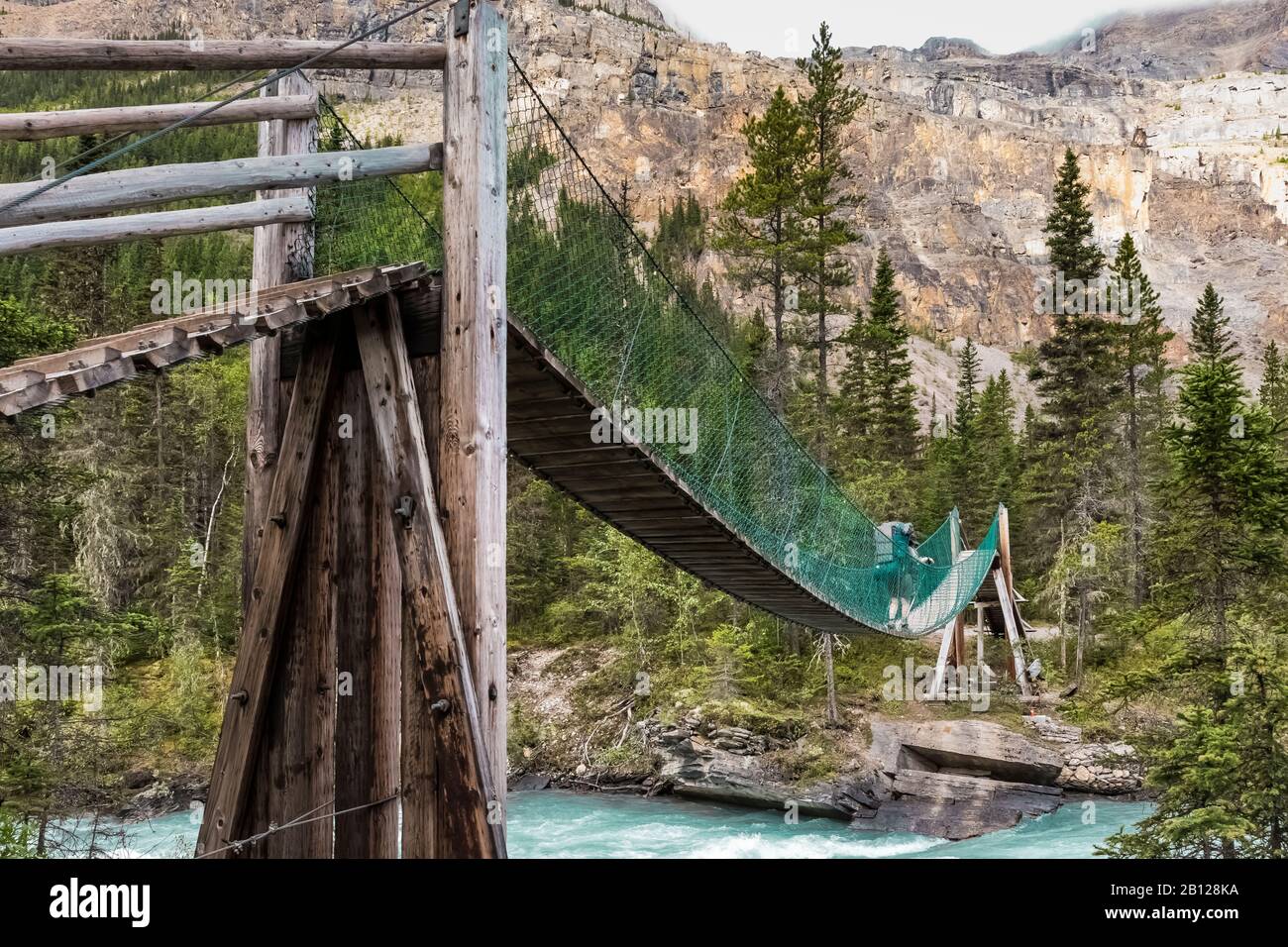 Suspension bridge for hikers crossing the Robson River at Whitehorn ...