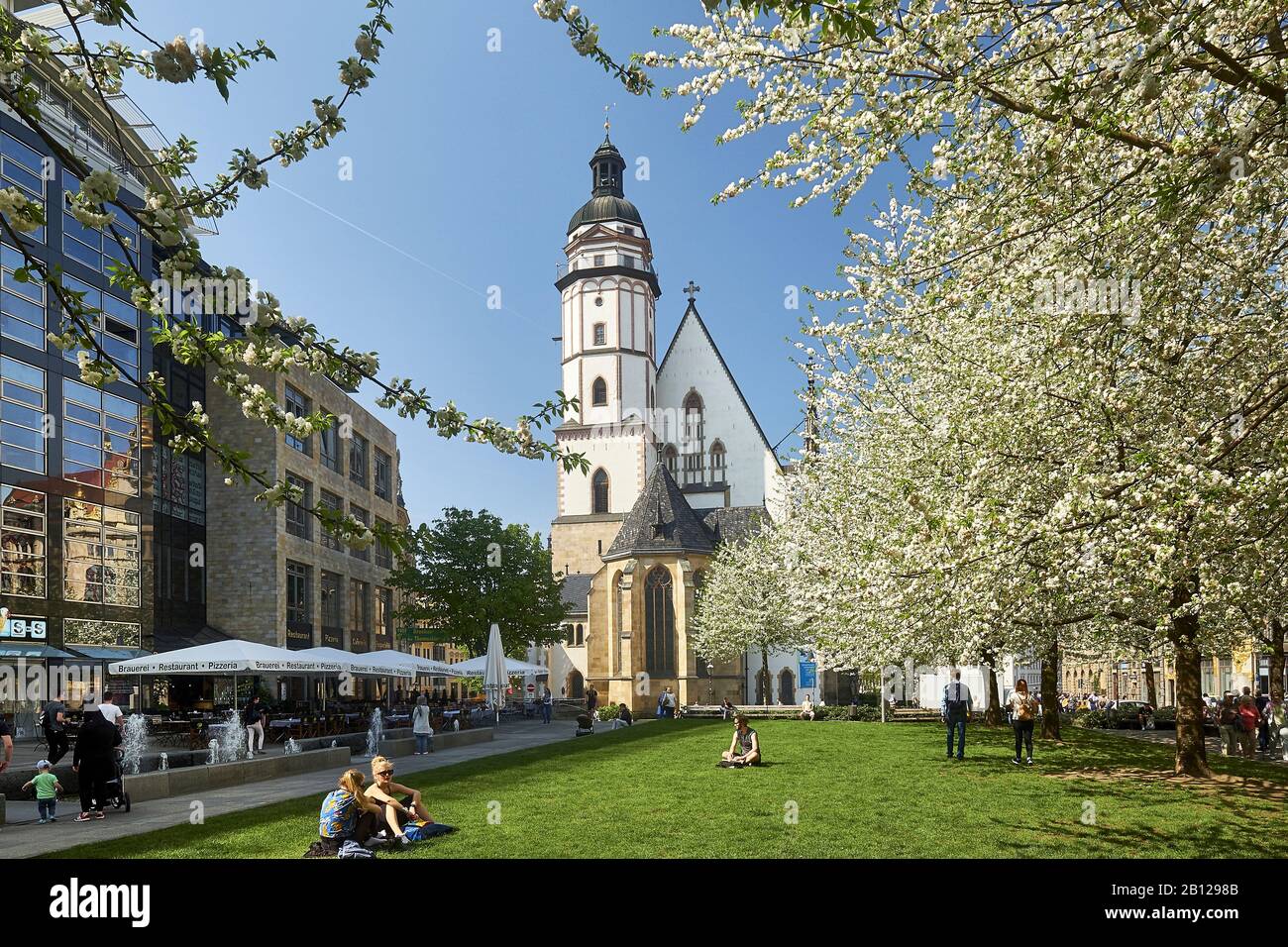 Cherry blossom time thomas hi-res stock photography and images - Alamy