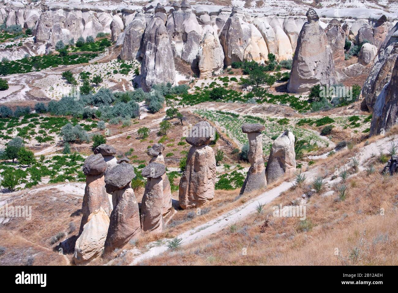 CAPPADOCIA FAIRY CHIMNEY LANDSCAPE Stock Photo - Alamy