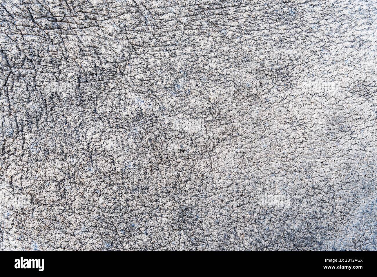 Rhino white rhinoceros skin texture hi-res stock photography and images ...