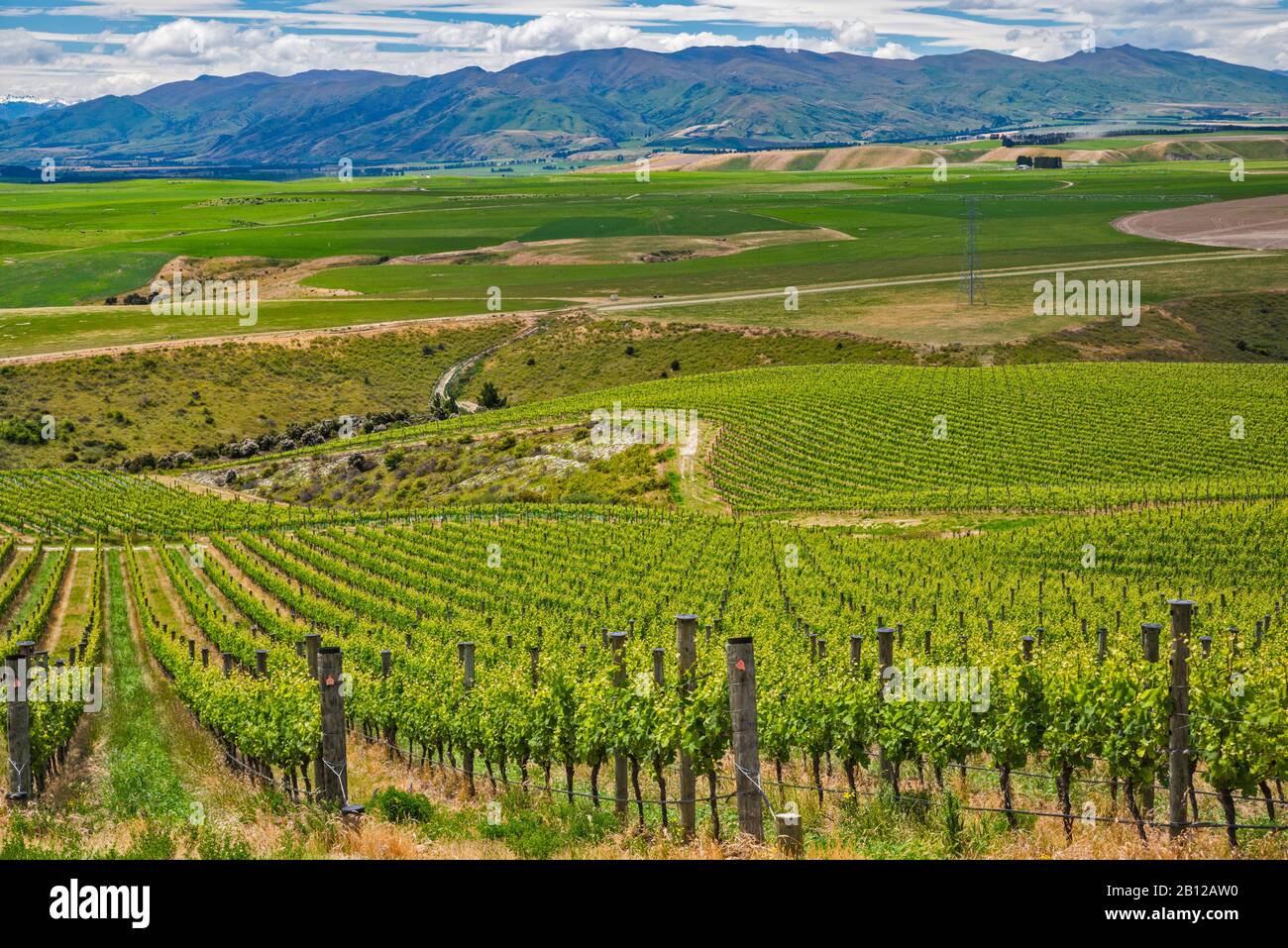Clutha valley hi-res stock photography and images - Alamy