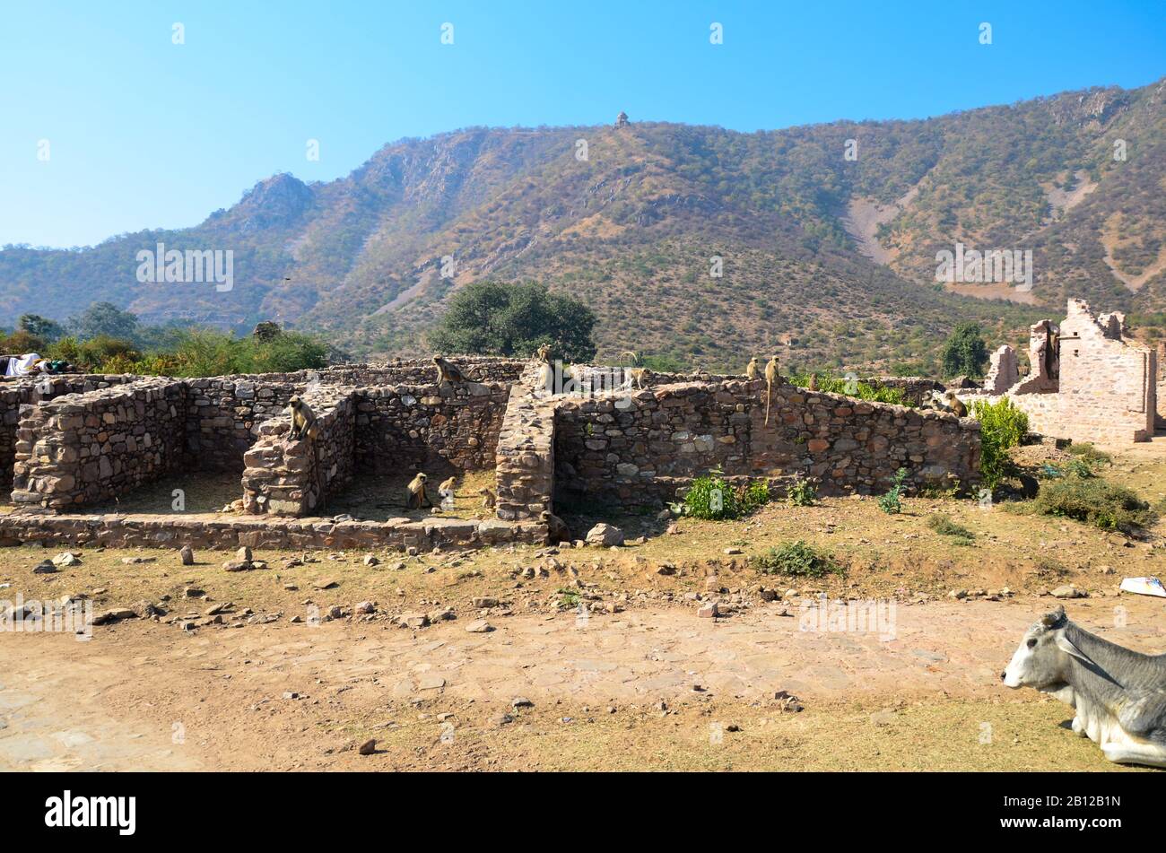 Ruins of 17th century Bhangarh Fort at Alwar Village in Rajasthan ...
