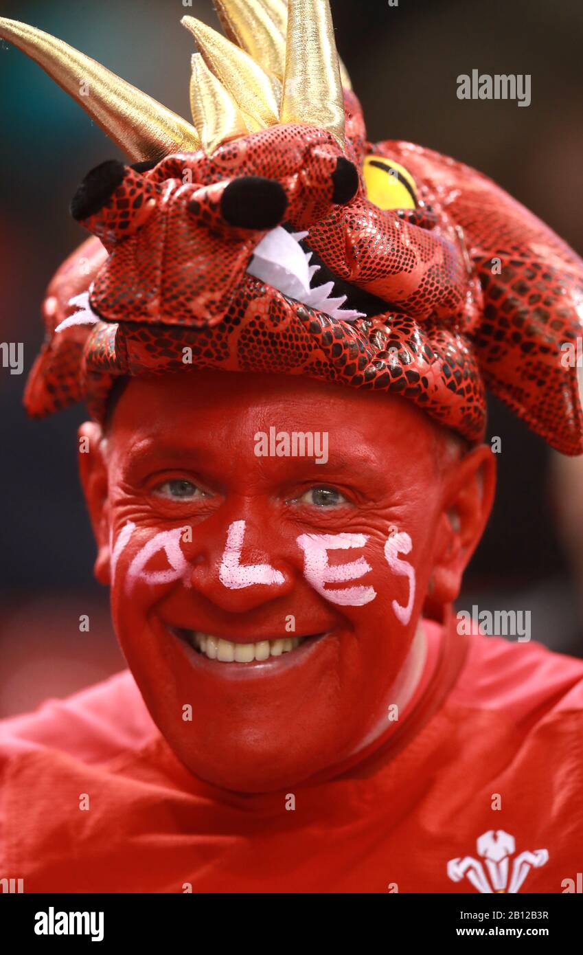 Rugby fan face paint hi-res stock photography and images - Alamy