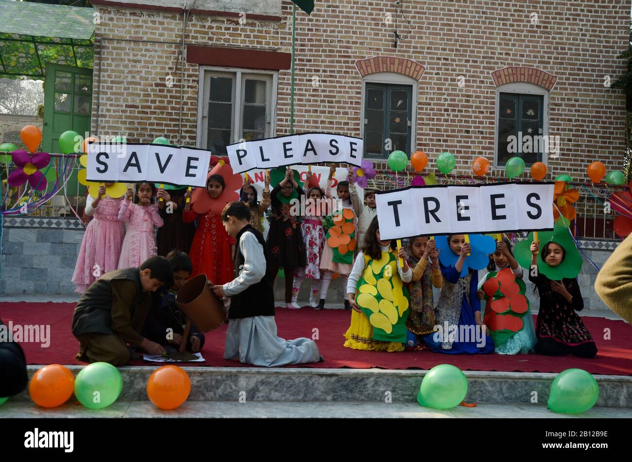 Pakistan Planting Trees at Christy Nathan blog