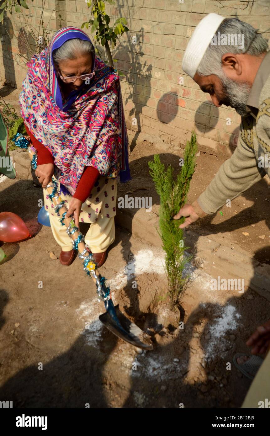 February 10, 2020: Peshawar, Pakistan. 10 February 2020: "Planting a ...