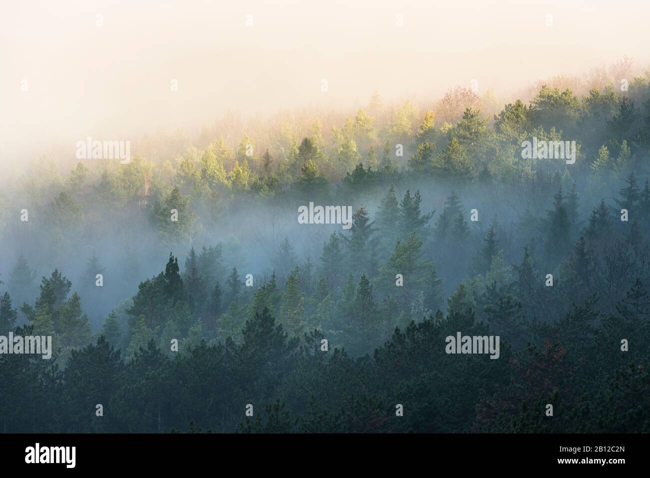 Sunrise over Jena, Nebel, Thuringia, Germany Stock Photo - Alamy