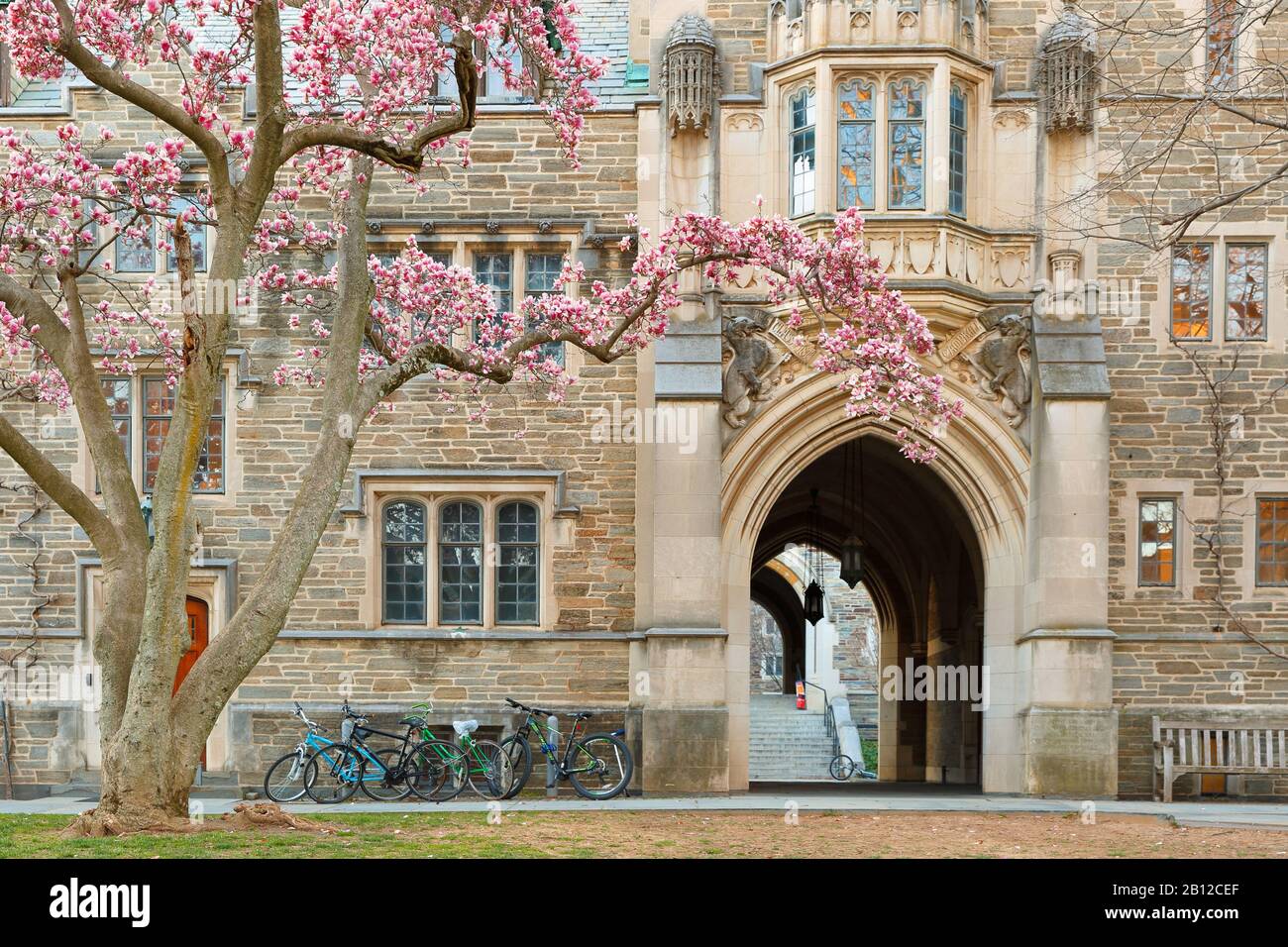Holder Hall on the campus of Princeton University. Princeton University ...