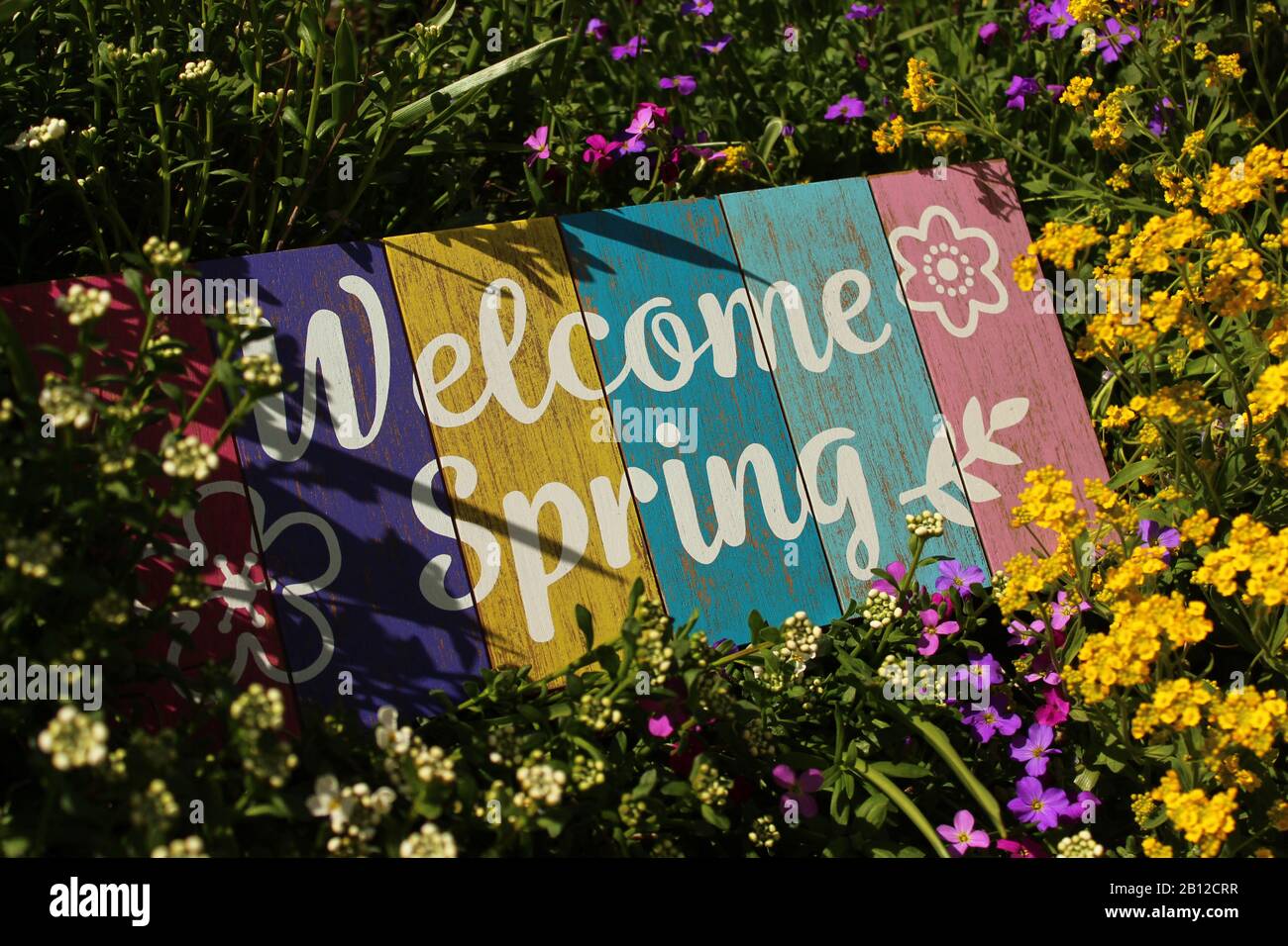 The picture shows lovely spring greetings with flowers Stock Photo - Alamy