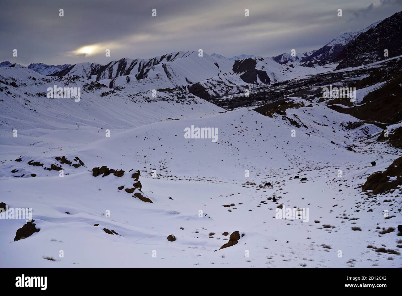 Ulley valley. Ladakh, Himalayas. India Stock Photo - Alamy