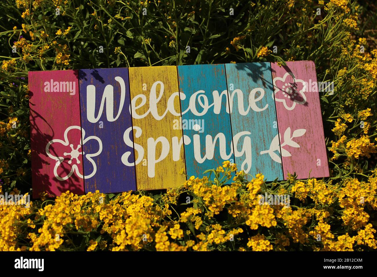 Spring greetings hi-res stock photography and images - Alamy