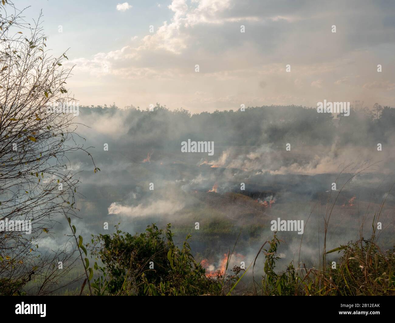 Fire fire burning rice straw hi-res stock photography and images - Alamy
