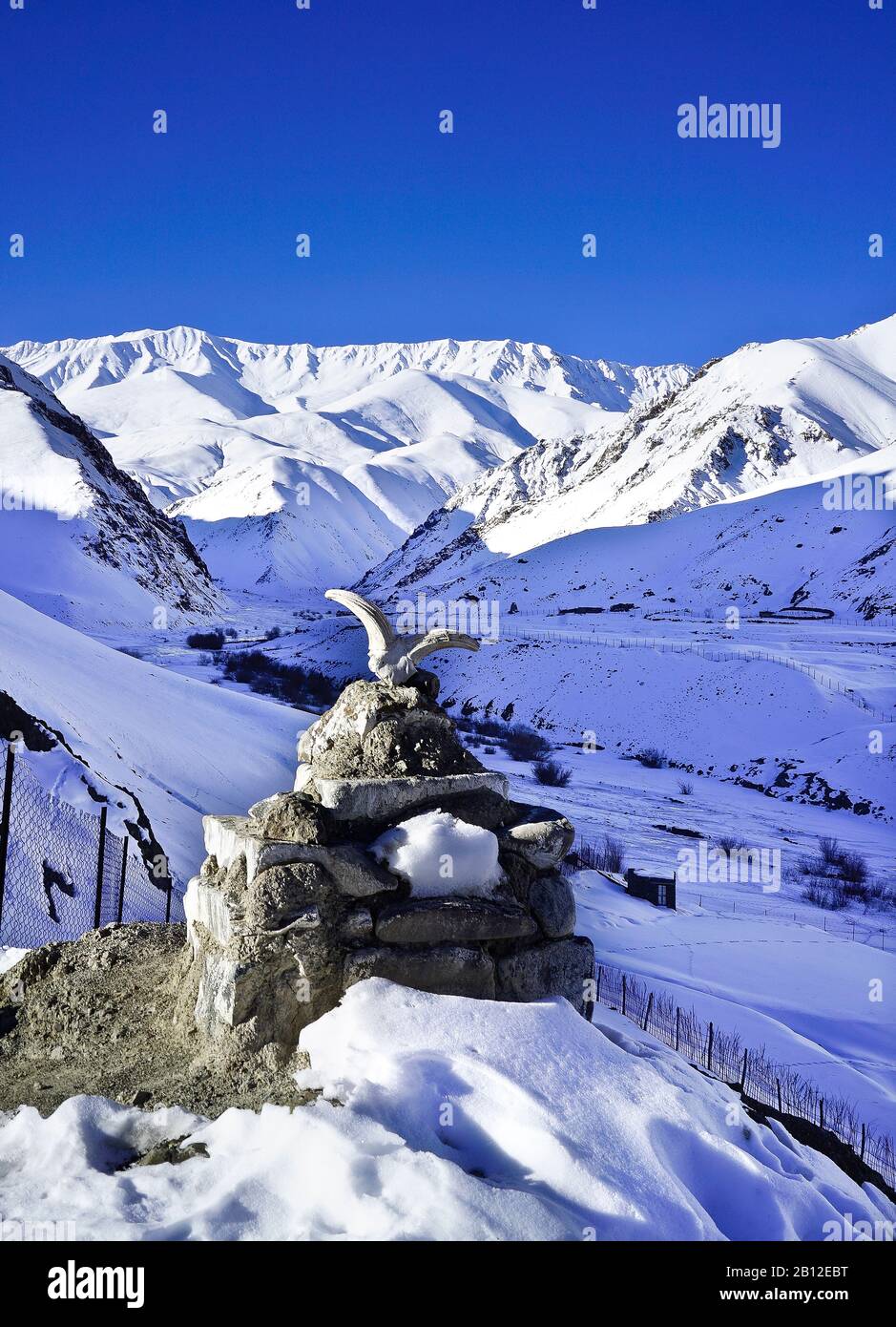 Rumbak valley. Hemis national park. Ladakh, Himalayas. India Stock ...