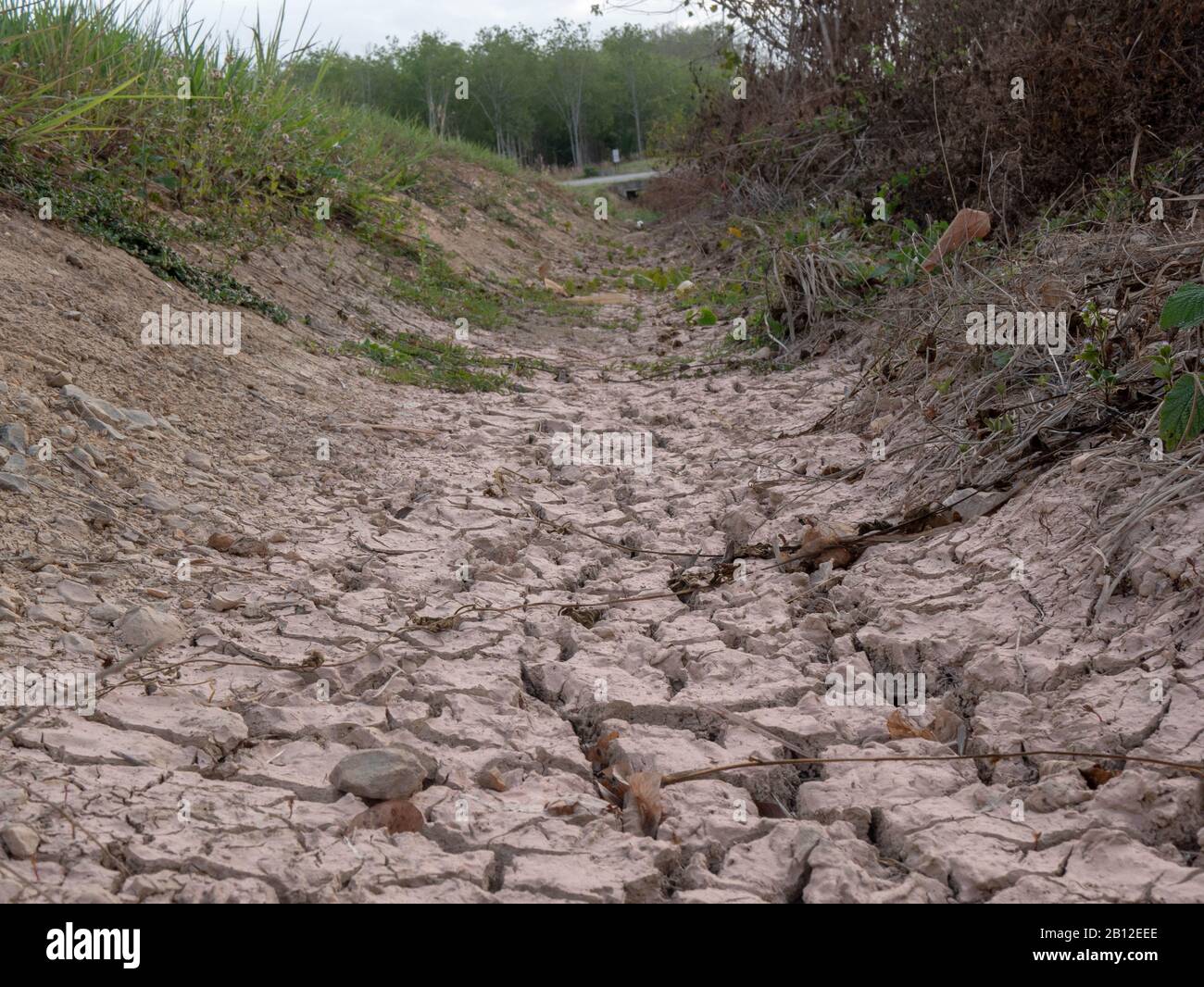 dried river during drought season Stock Photo - Alamy