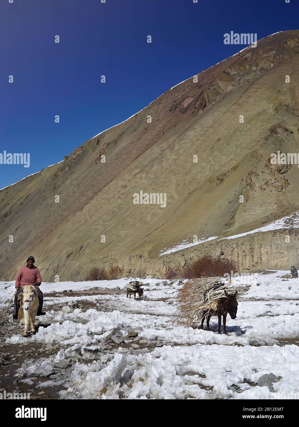 Local people transporting supplies to Rumbak village.. Hemis National ...