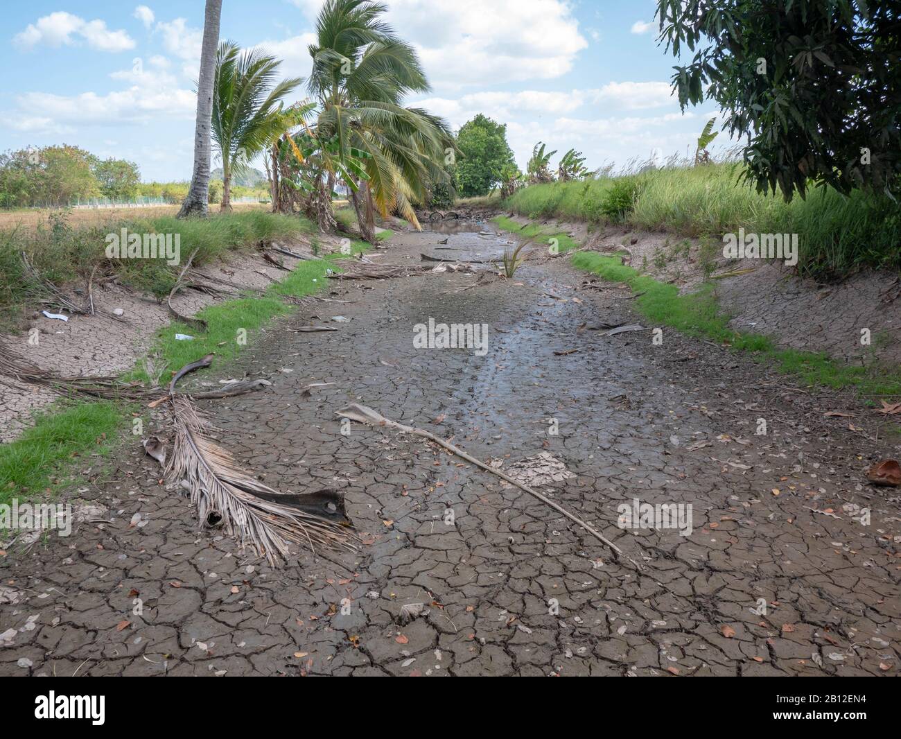 dried river during drought season Stock Photo - Alamy