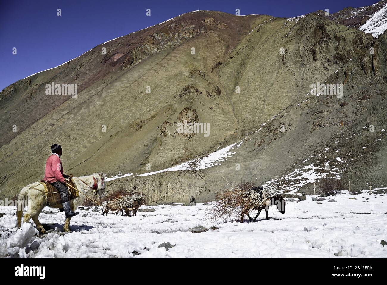 Local people transporting supplies to Rumbak village.. Hemis National ...