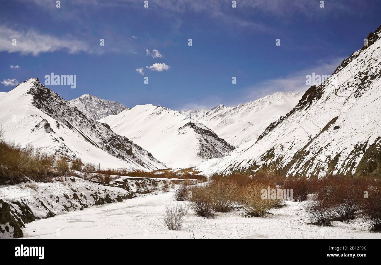 Rumbak valley. Hemis national park. Ladakh, Himalayas. India Stock ...