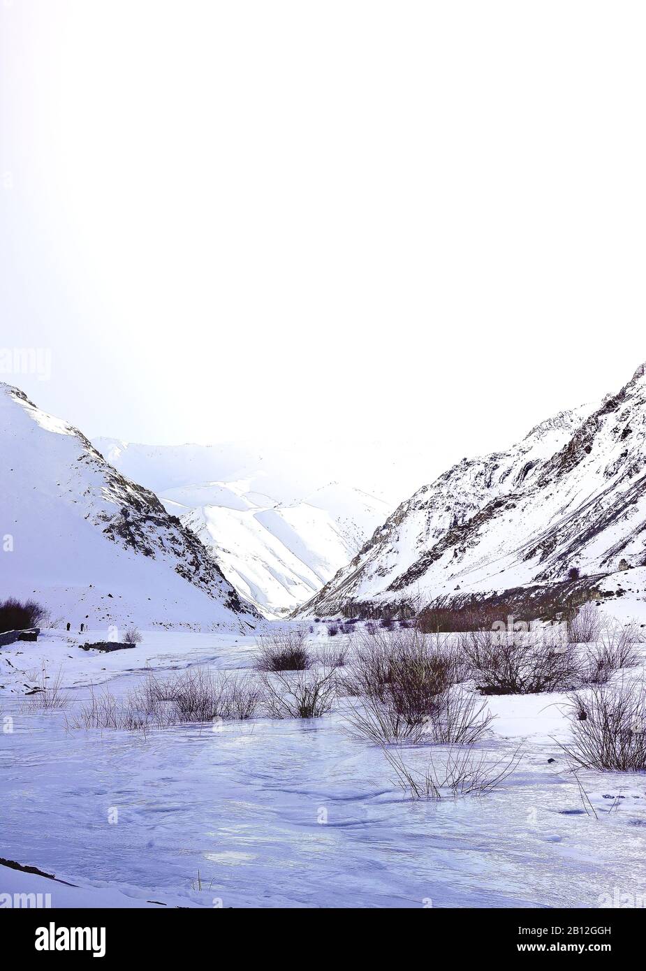 Rumbak valley. Hemis national park. Ladakh, Himalayas. India Stock ...