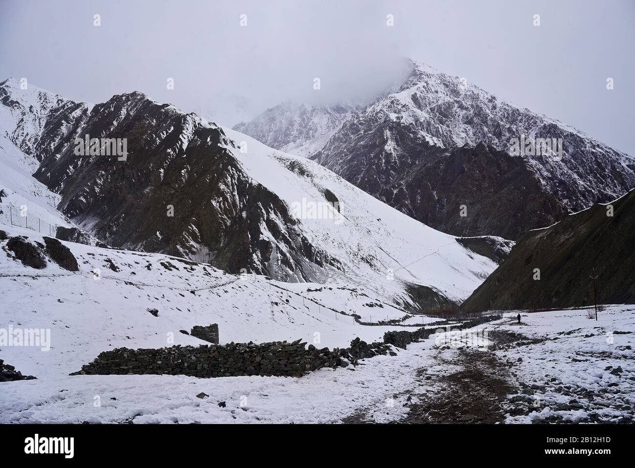Rumbak valley. Hemis national park. Ladakh, Himalayas. India Stock ...